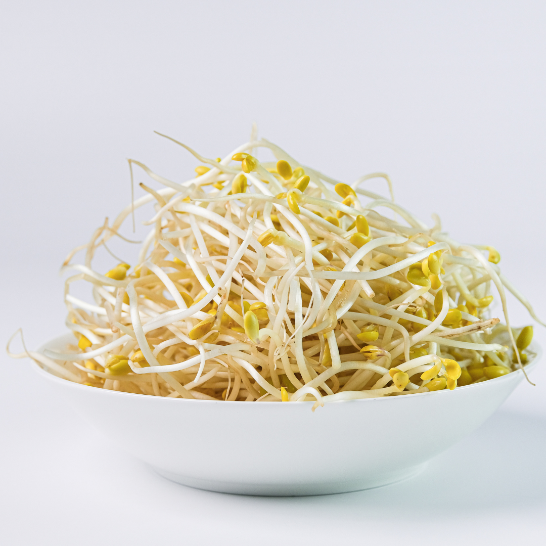 Fresh Bean Sprouts – Restro food